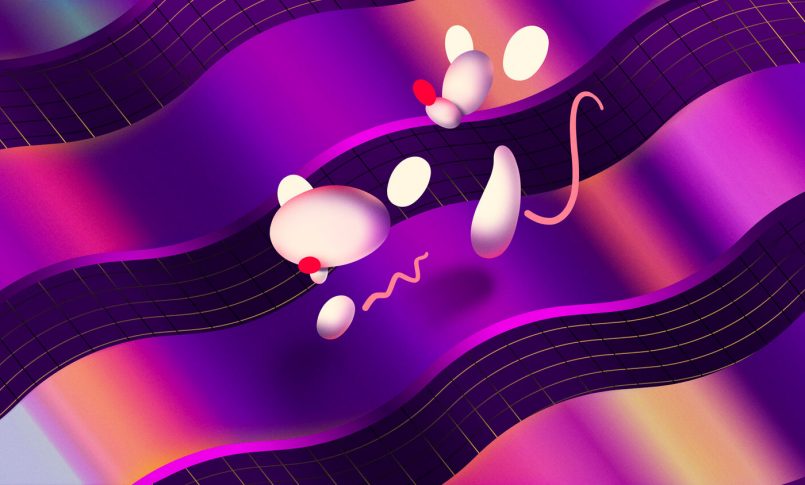 Illustrations by Rafael Mayani | Daily design inspiration for creatives ...