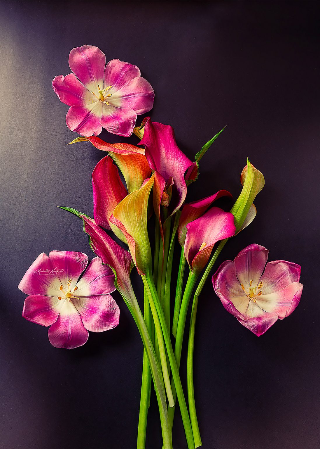 Fine Art Flower Photography by Michelle Newport | Daily design ...