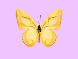 Fun Photo Manipulations by Randy Lewis | Daily design inspiration for ...