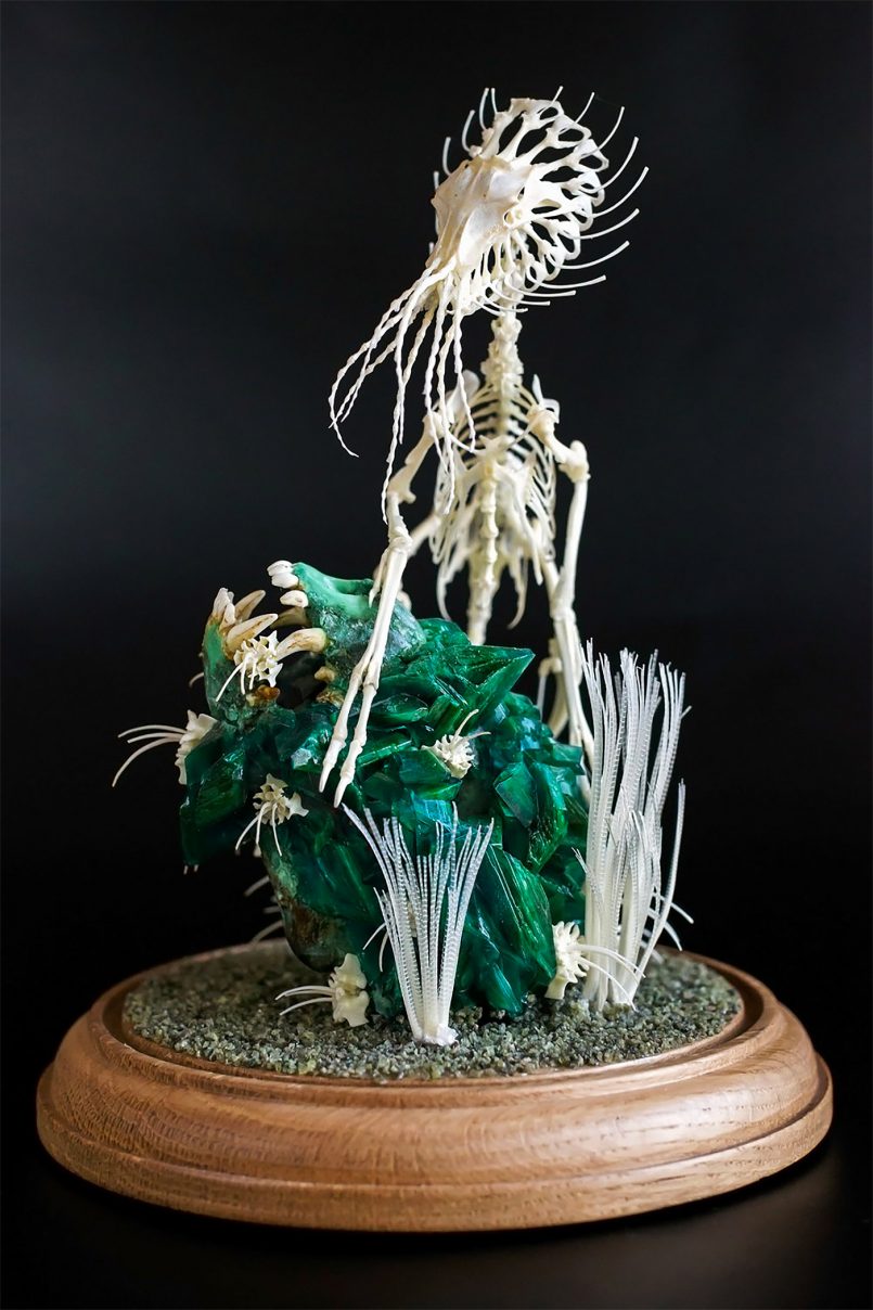 Animal Bone Sculptures by Gerard Geer | Daily design inspiration for ...