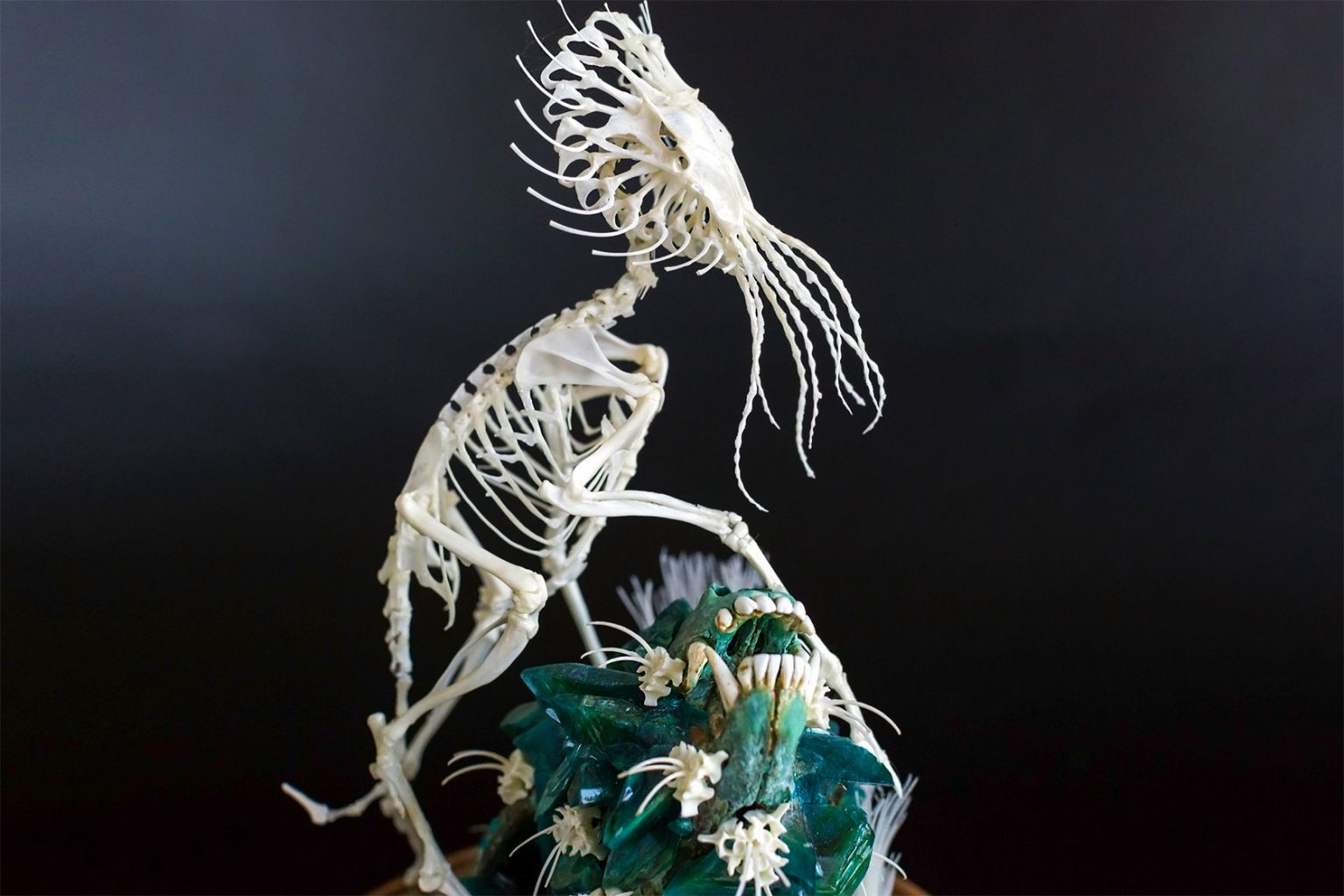 Animal Bone Sculptures by Gerard Geer | Daily design inspiration for ...