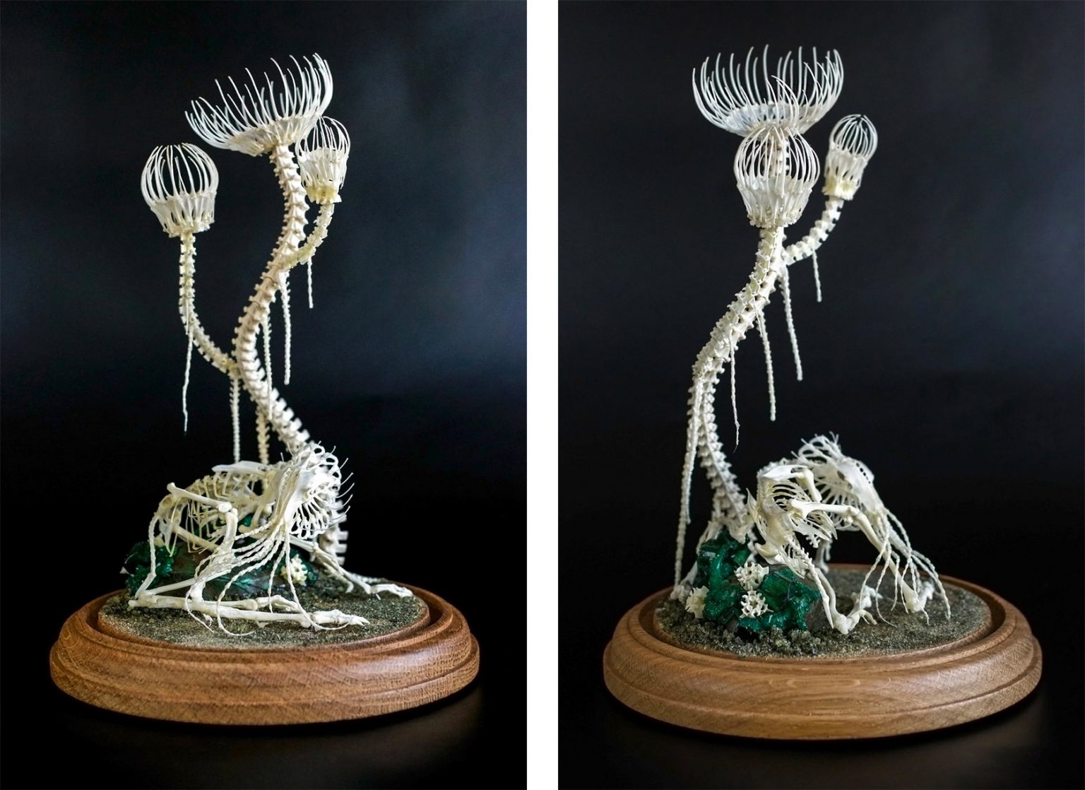 Animal Bone Sculptures by Gerard Geer | Daily design inspiration for ...