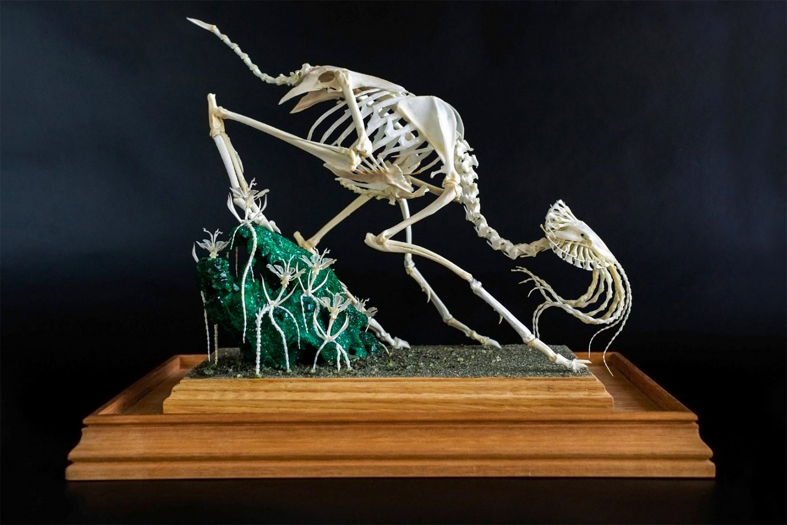Animal Bone Sculptures by Gerard Geer | Daily design inspiration for ...