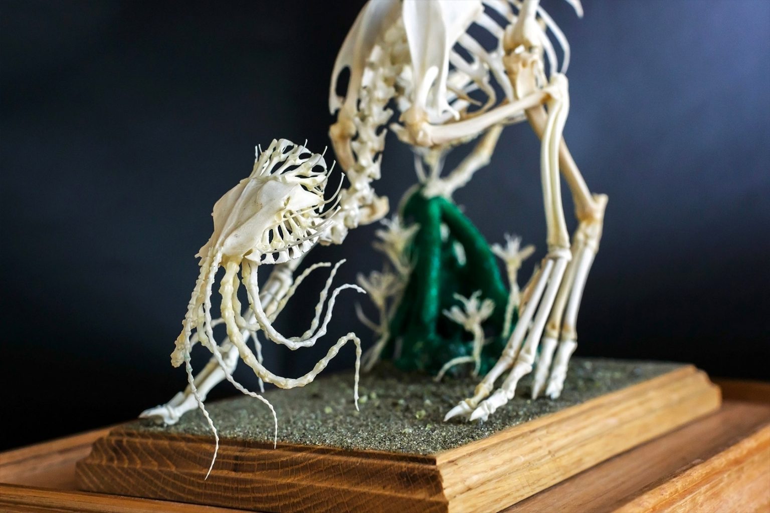 Animal Bone Sculptures by Gerard Geer | Daily design inspiration for ...