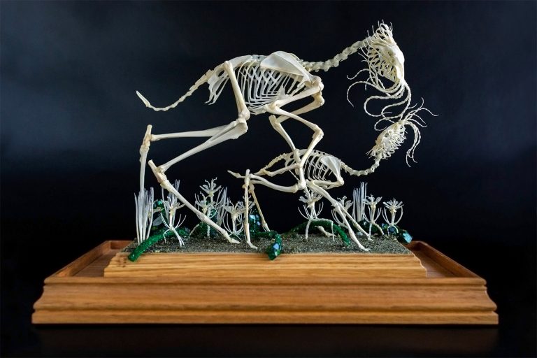 Animal Bone Sculptures by Gerard Geer | Daily design inspiration for ...
