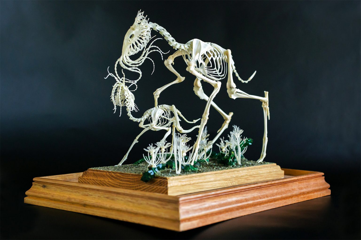 Animal Bone Sculptures by Gerard Geer | Daily design inspiration for ...