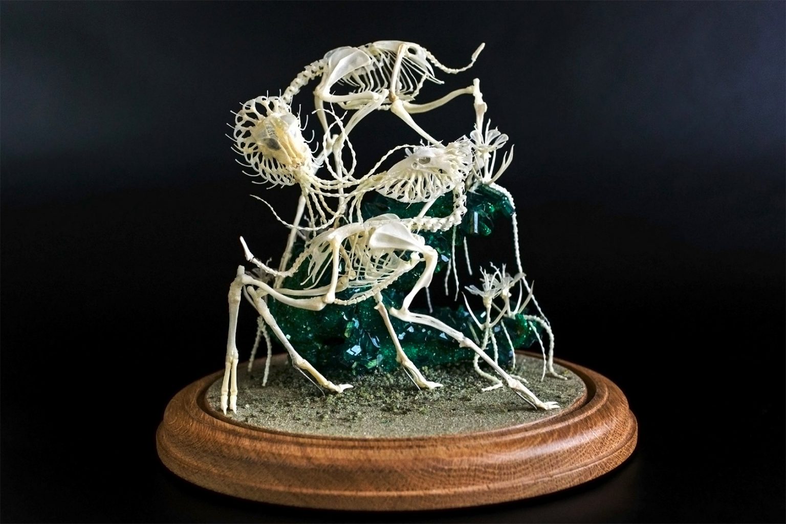 Animal Bone Sculptures by Gerard Geer | Daily design inspiration for ...