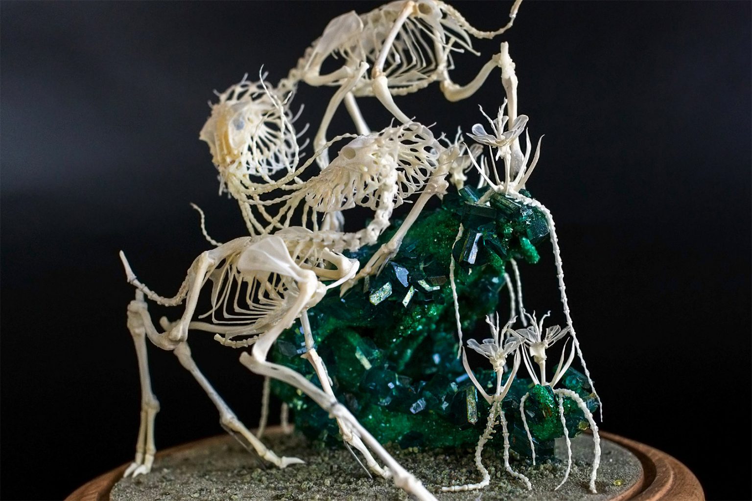 Animal Bone Sculptures by Gerard Geer | Daily design inspiration for ...