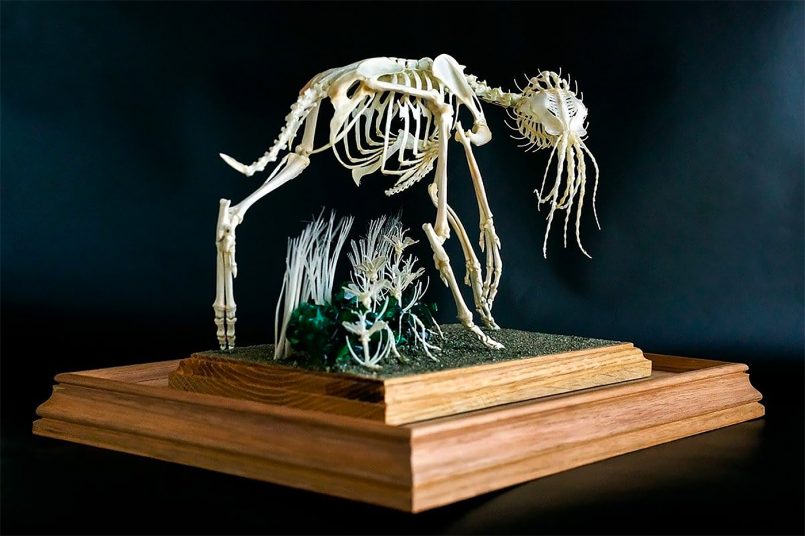 Animal Bone Sculptures by Gerard Geer | Daily design inspiration for ...