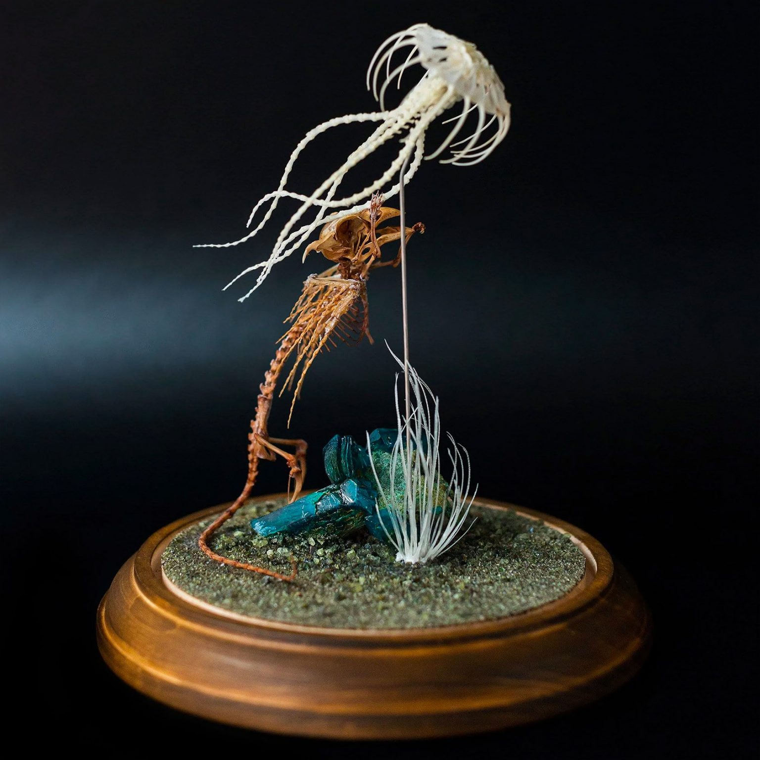 Animal Bone Sculptures by Gerard Geer | Daily design inspiration for ...