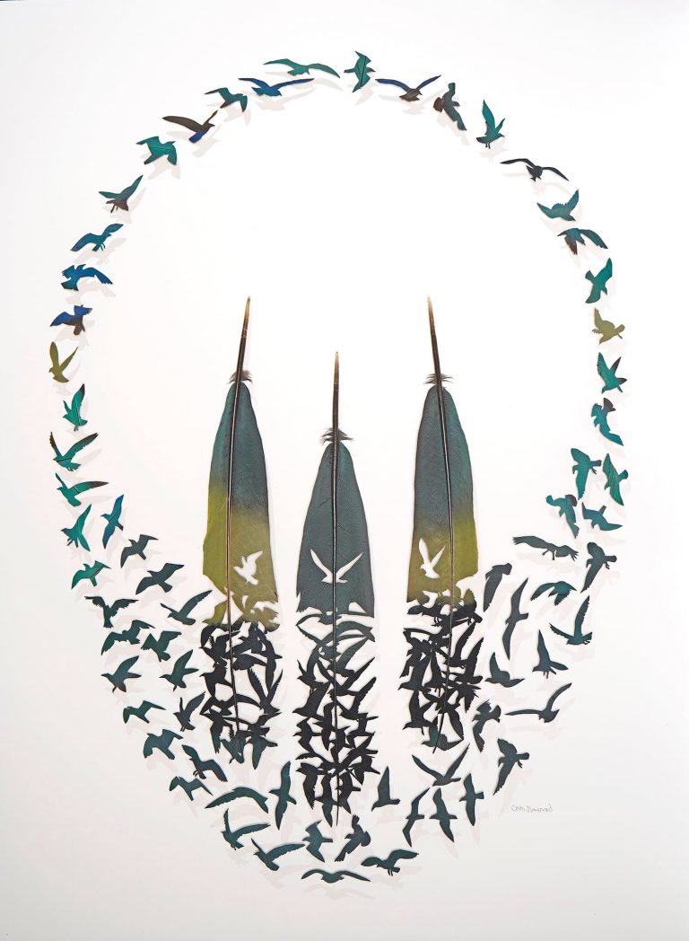 Incredible Feather Artworks by Chris Maynard | Daily design inspiration ...