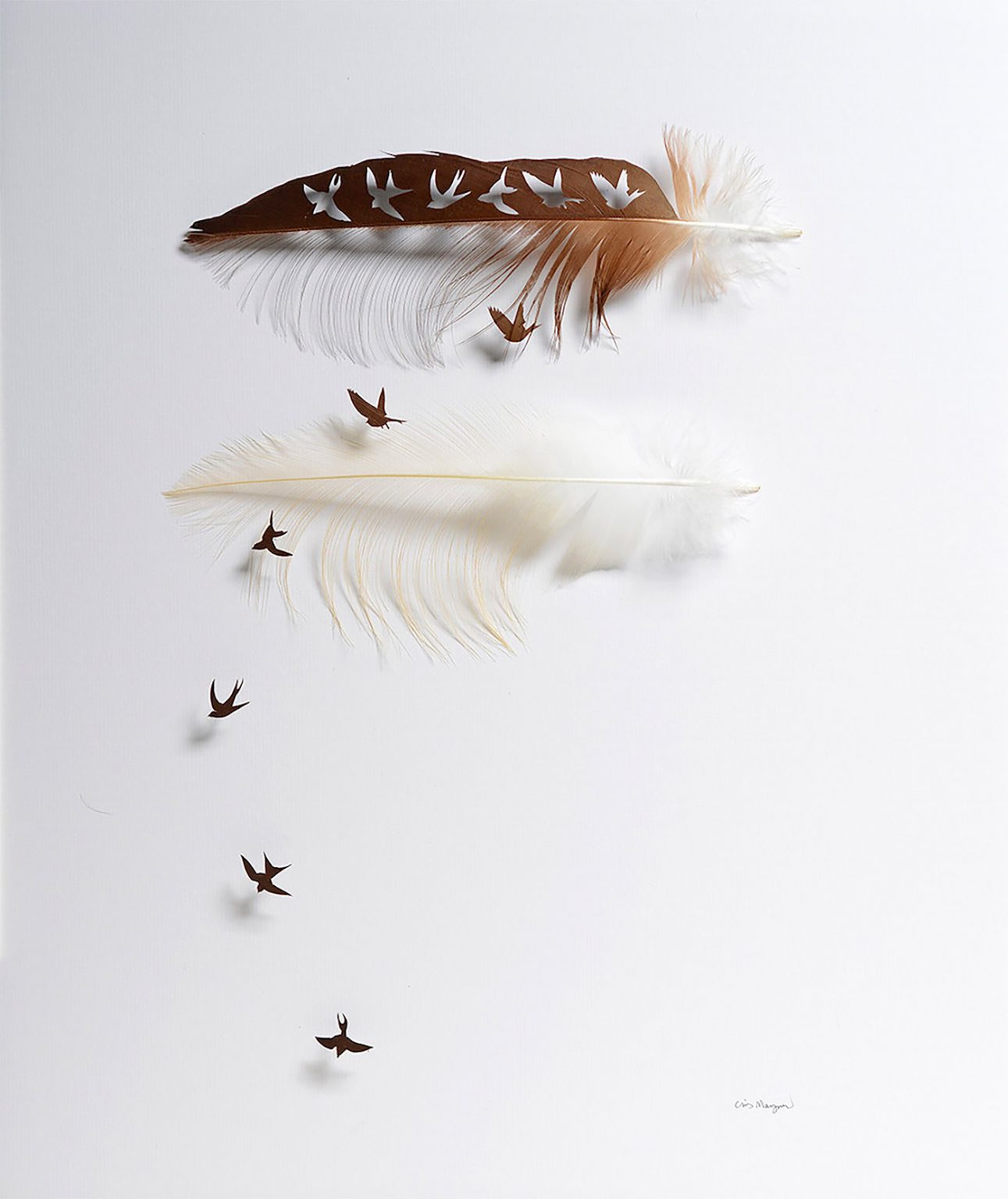 Incredible Feather Artworks by Chris Maynard | Daily design inspiration ...