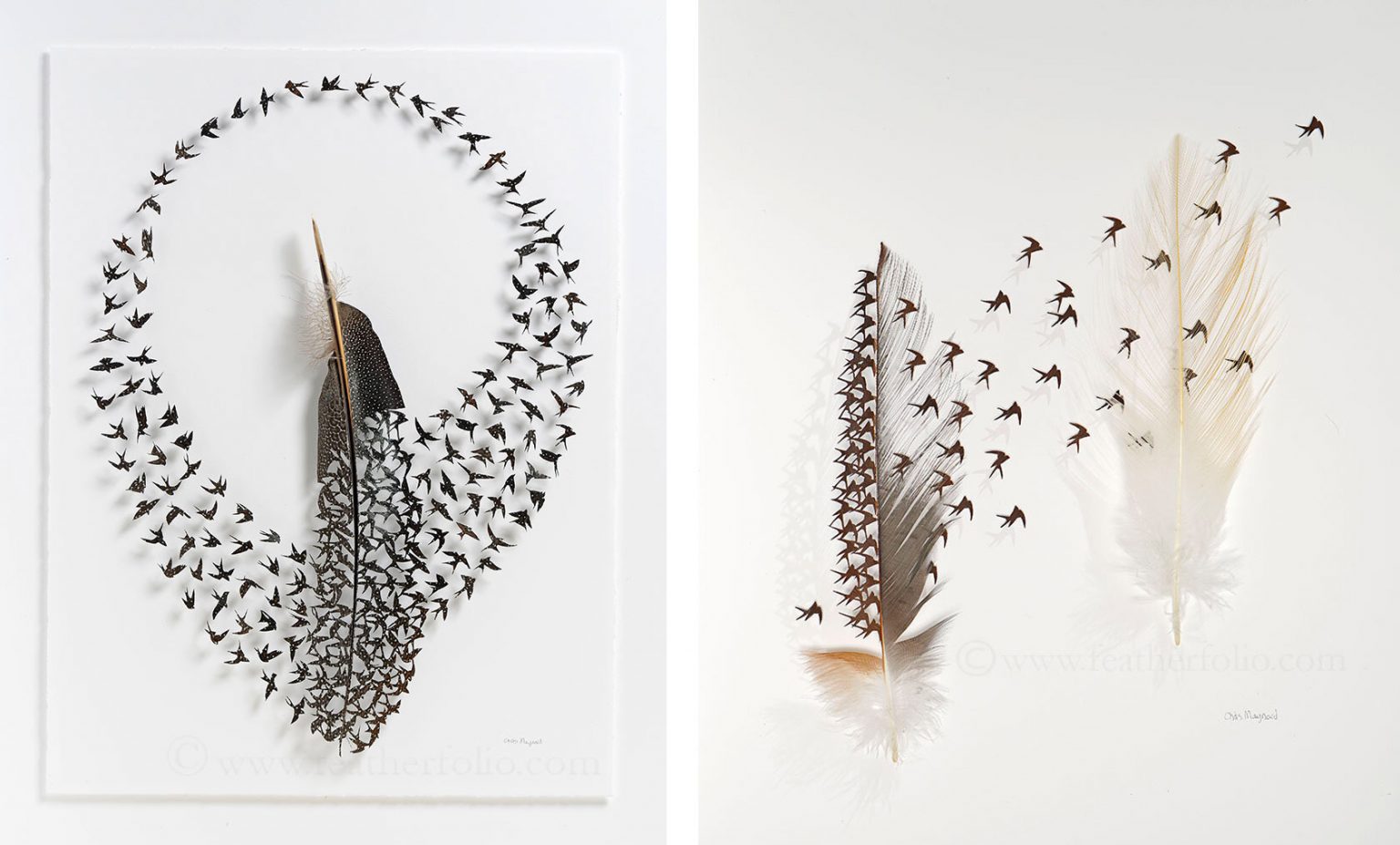 Incredible Feather Artworks by Chris Maynard | Daily design inspiration ...