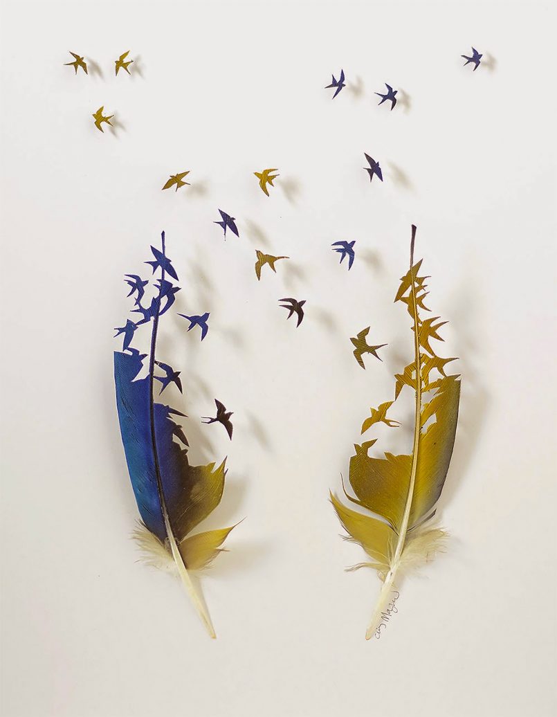 Incredible Feather Artworks by Chris Maynard | Daily design inspiration ...