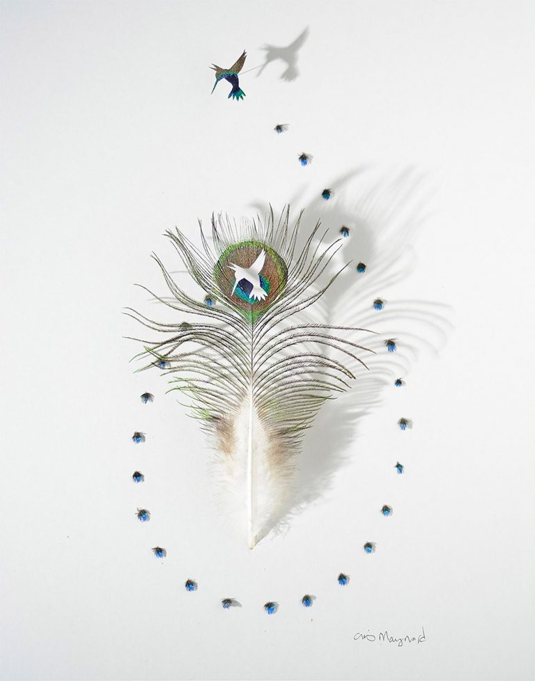 Incredible Feather Artworks by Chris Maynard | Daily design inspiration ...