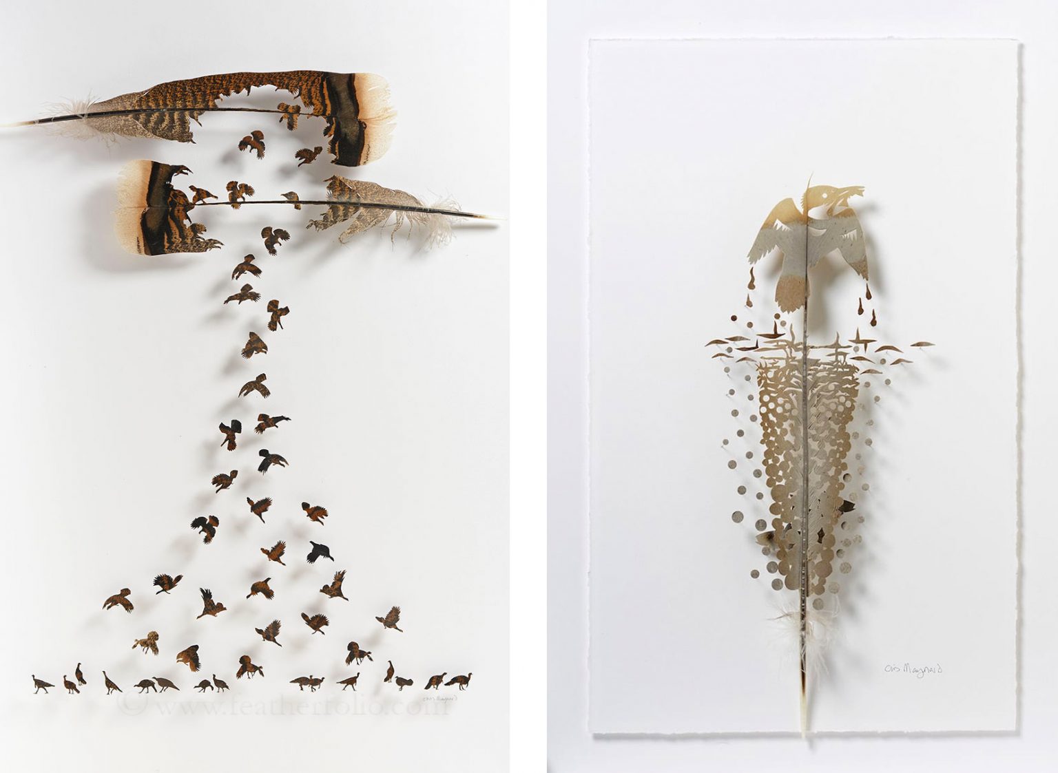 Incredible Feather Artworks by Chris Maynard | Daily design inspiration ...