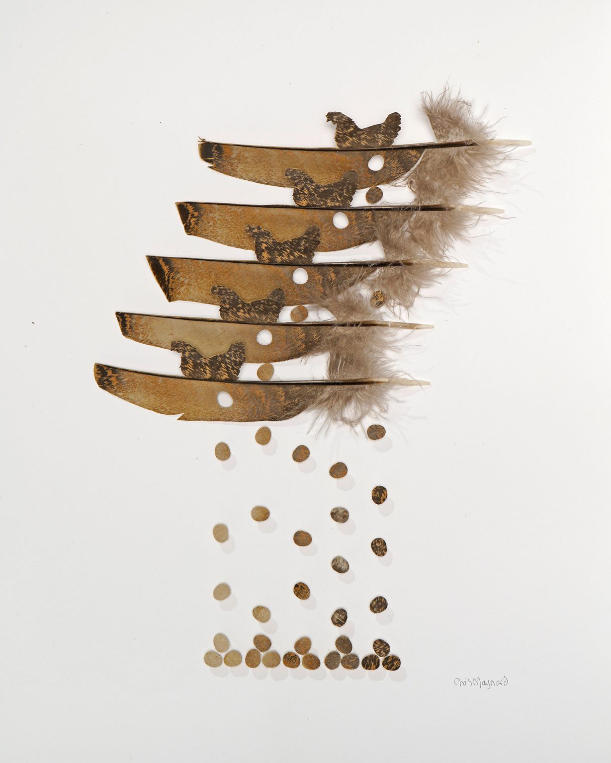 Incredible Feather Artworks by Chris Maynard | Daily design inspiration ...
