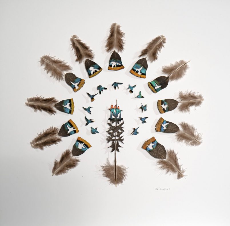 Incredible Feather Artworks by Chris Maynard | Daily design inspiration ...