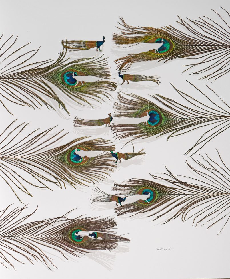 Incredible Feather Artworks by Chris Maynard | Daily design inspiration ...