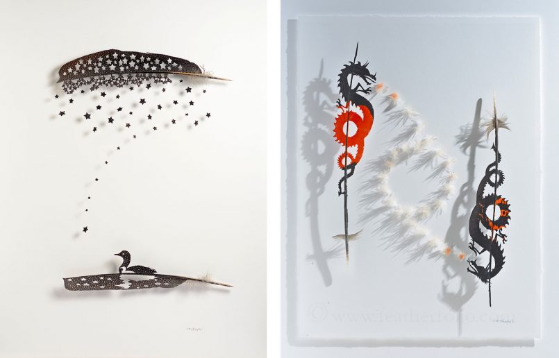 Incredible Feather Artworks by Chris Maynard | Daily design inspiration ...