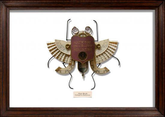 Litter Bugs: Found Object Artworks by Mark Oliver | Daily design ...