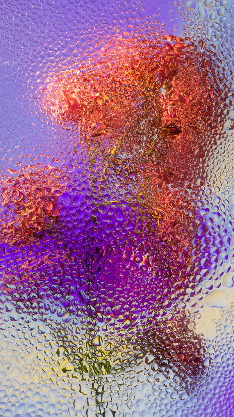 Inside: Floral Photography by Davy Evans | Daily design inspiration for ...