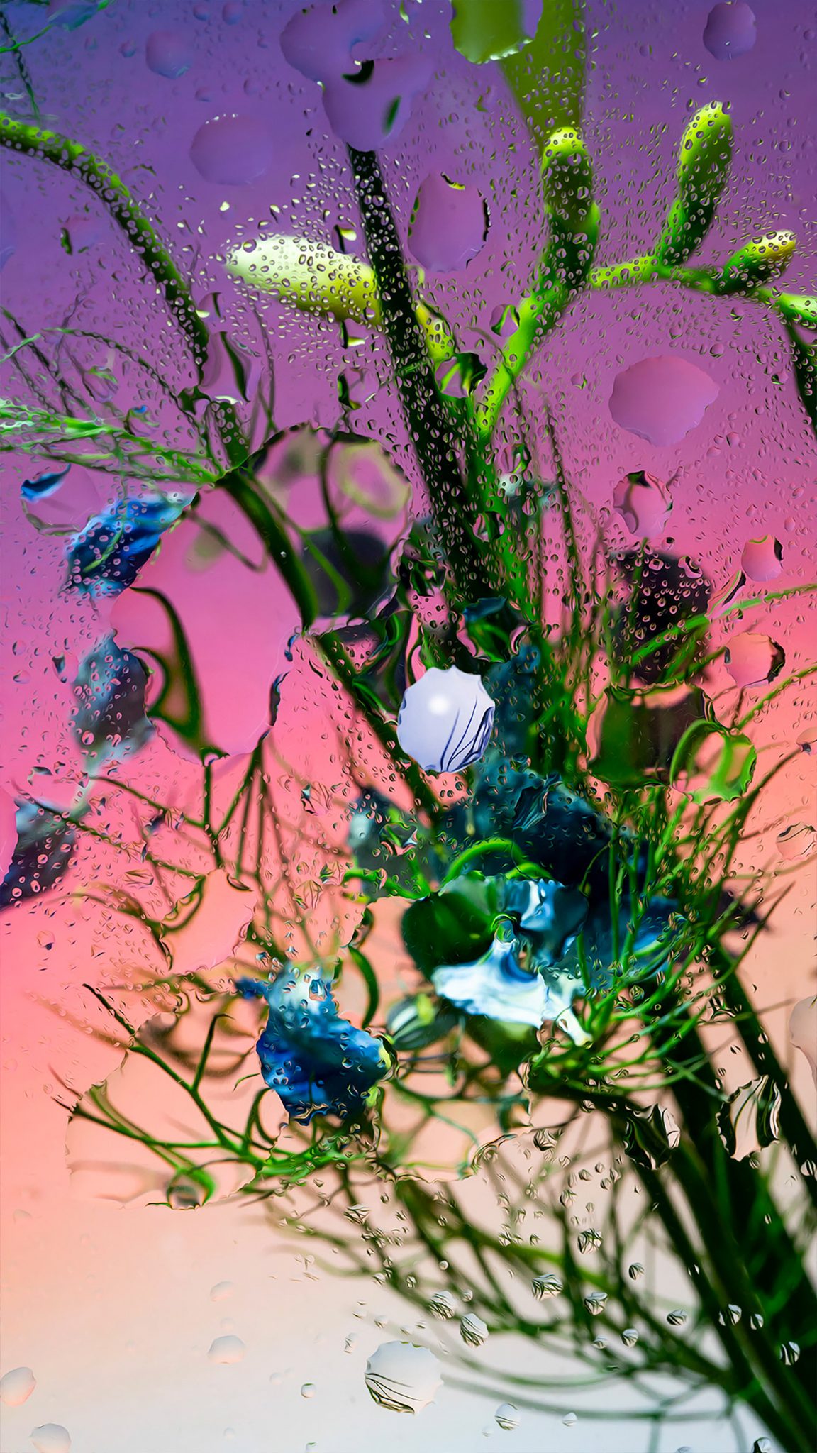 Inside: Floral Photography by Davy Evans | Daily design inspiration for ...