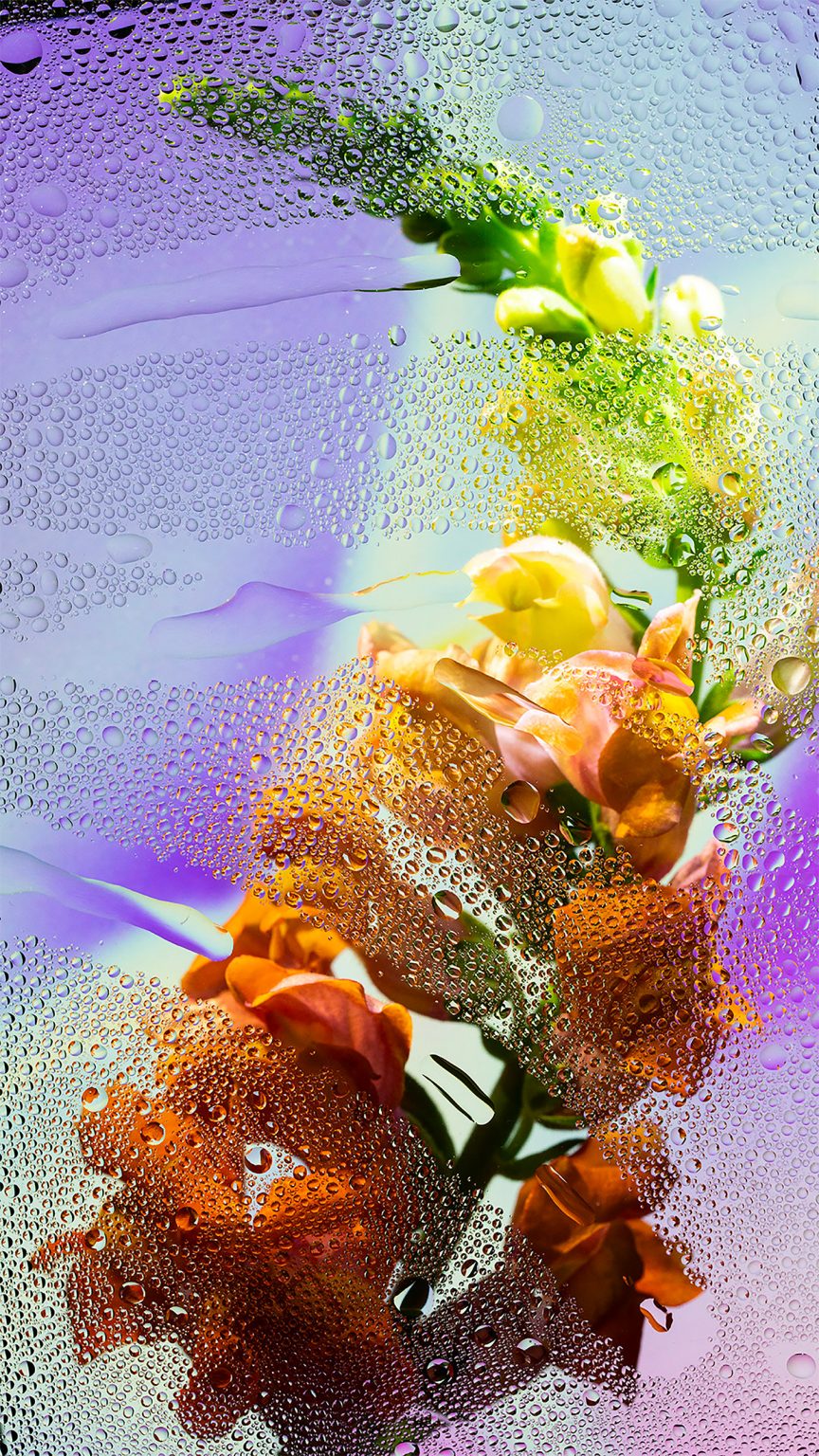 Inside: Floral Photography by Davy Evans | Daily design inspiration for ...