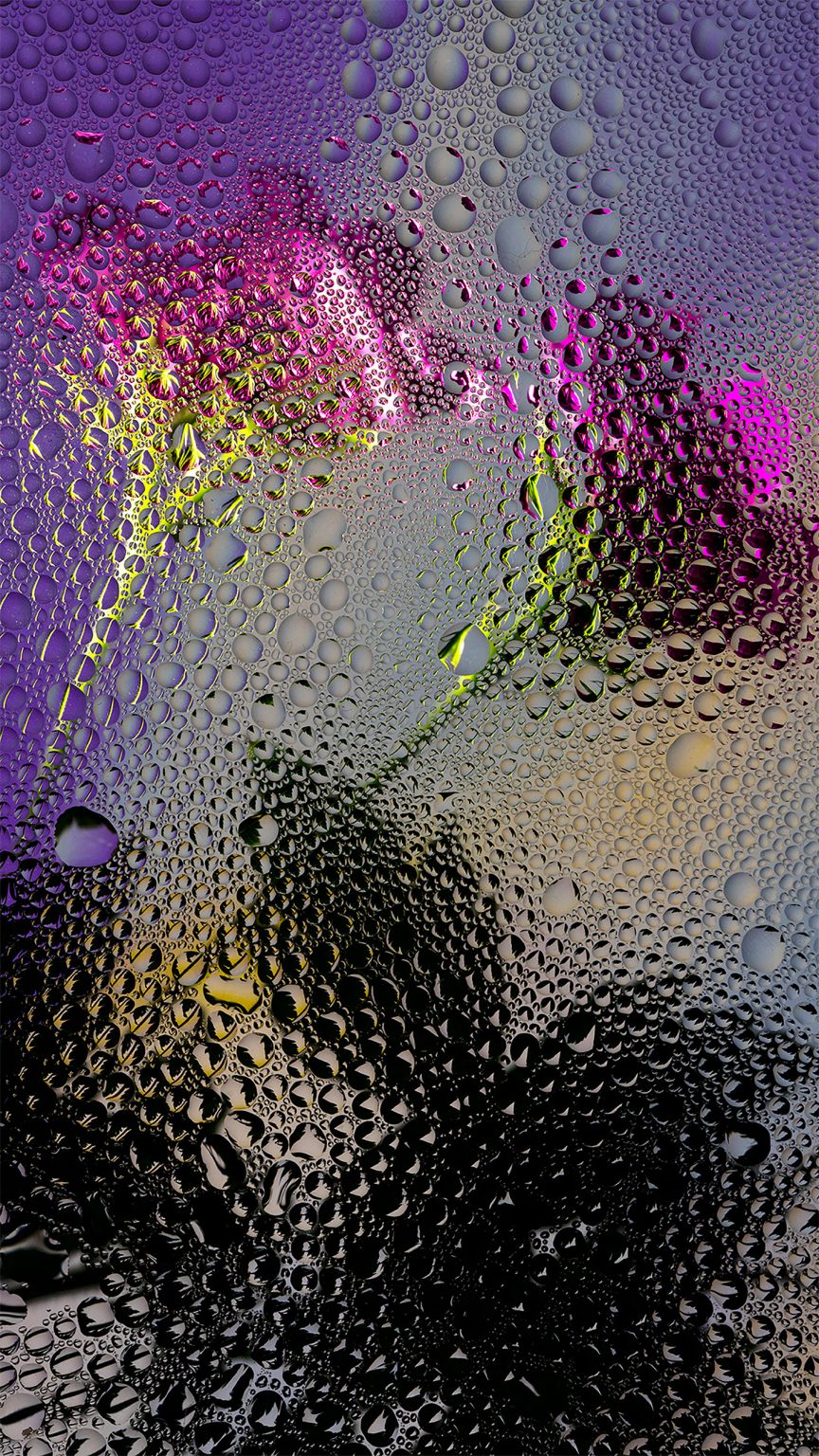 Inside: Floral Photography by Davy Evans | Daily design inspiration for ...