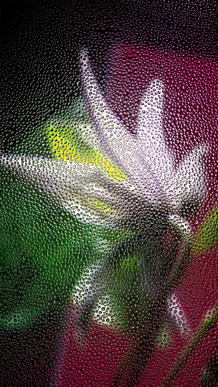 Inside: Floral Photography by Davy Evans | Daily design inspiration for ...