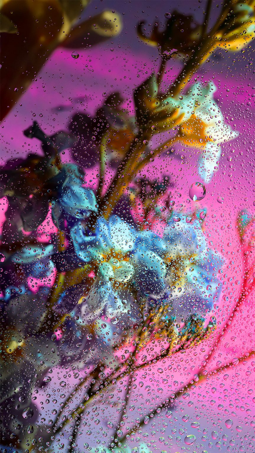 Inside: Floral Photography by Davy Evans | Daily design inspiration for ...