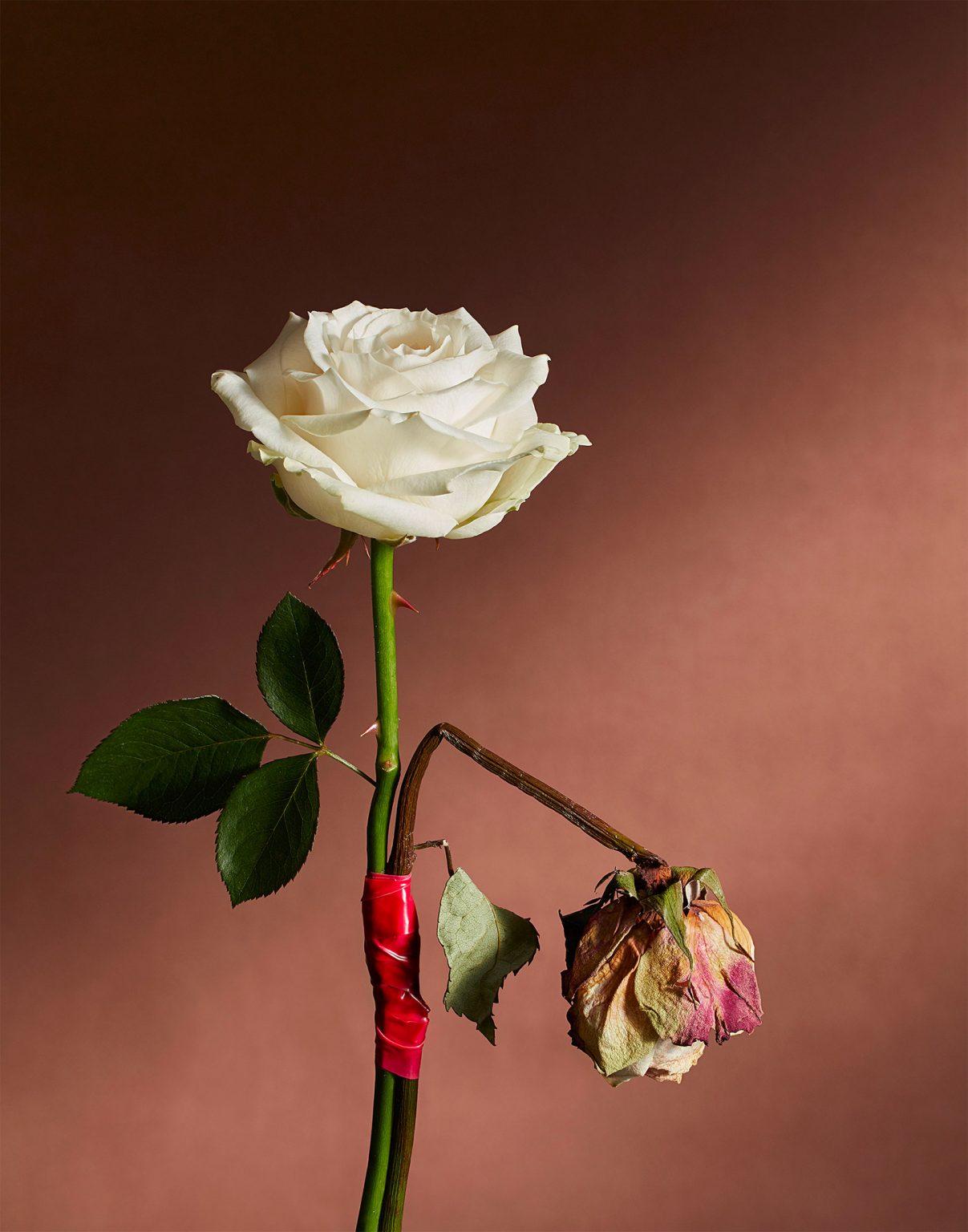 Conceptual Photography by Aaron Tilley | Daily design inspiration for ...