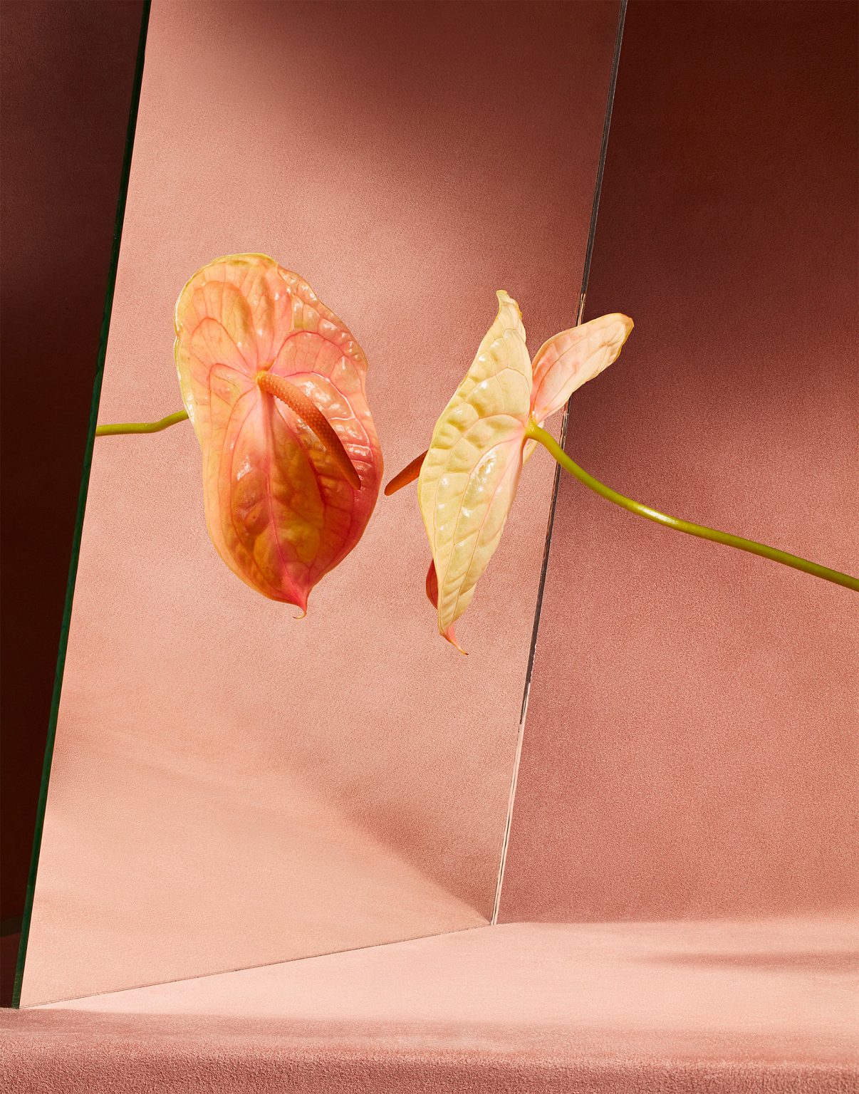 Conceptual Photography by Aaron Tilley | Daily design inspiration for ...