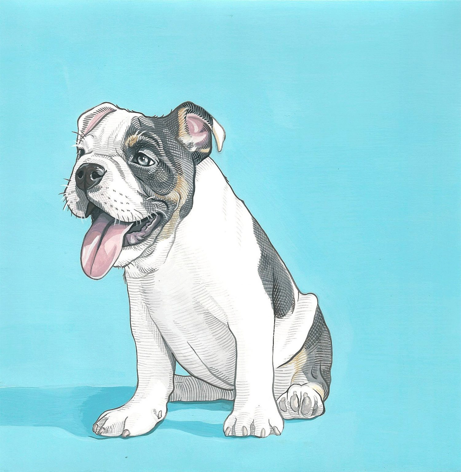 Amusing Animal Illustrations by Manda Comisari | Daily design ...