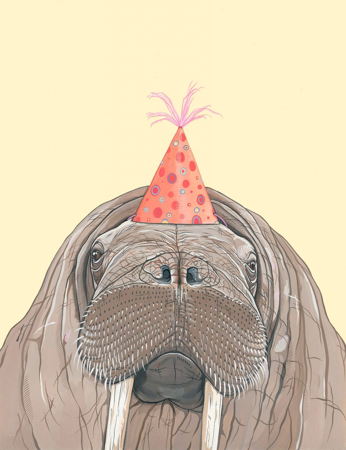 Amusing Animal Illustrations by Manda Comisari | Daily design ...