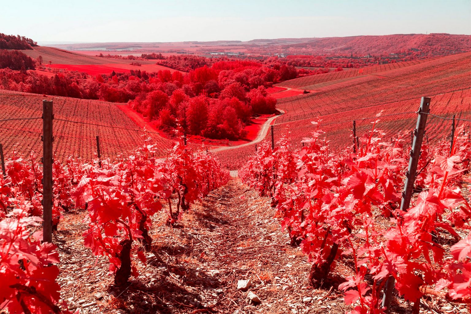 France in Infrared: Photos by Pierre-Louis Ferrer | Daily design ...
