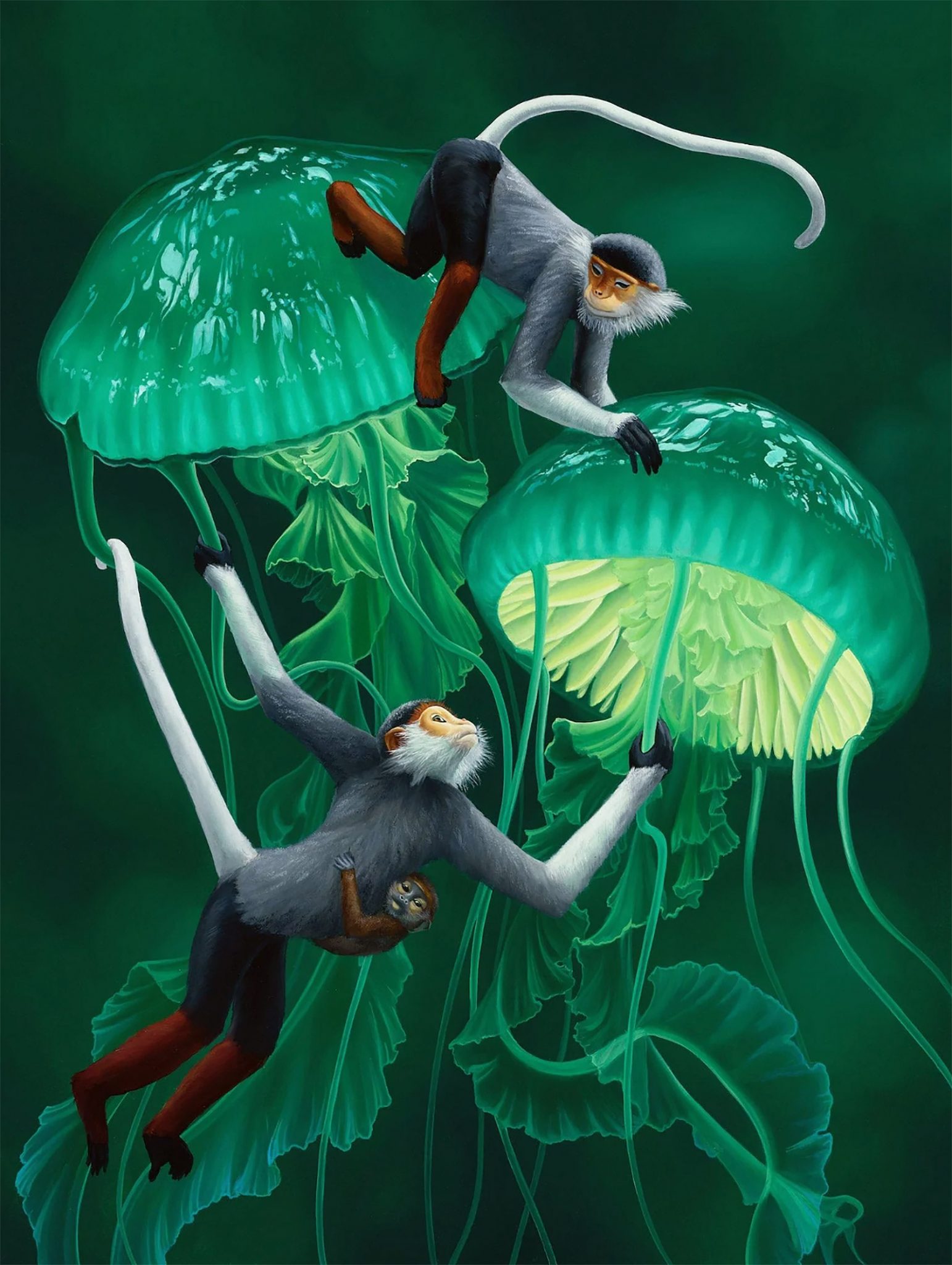 Flora & Fauna: Paintings by Jon Ching | Daily design inspiration for ...