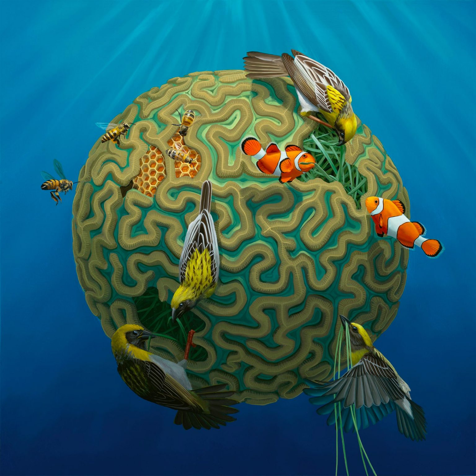 Flora & Fauna: Paintings by Jon Ching | Daily design inspiration for ...