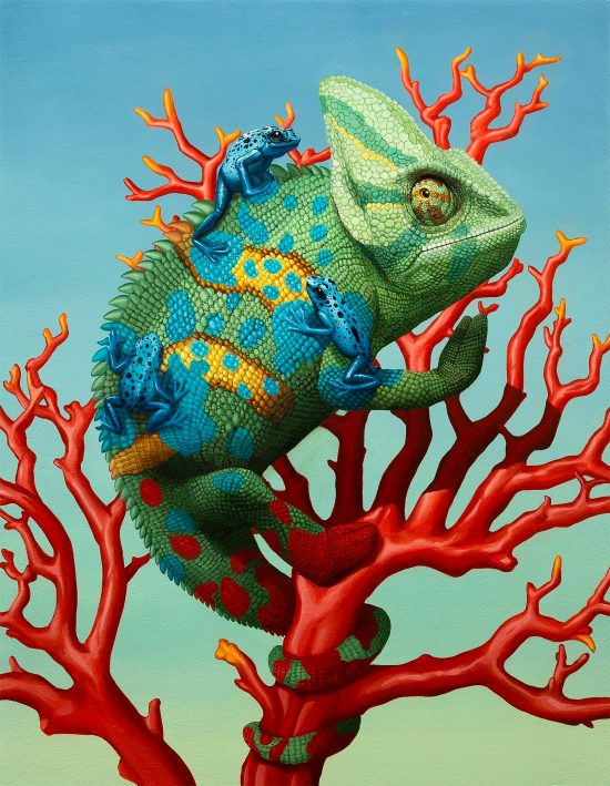 Flora & Fauna: Paintings by Jon Ching | Daily design inspiration for ...