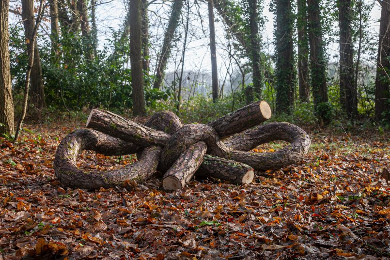 Plant-Based Artworks by Monsieur Plant | Daily design inspiration for ...