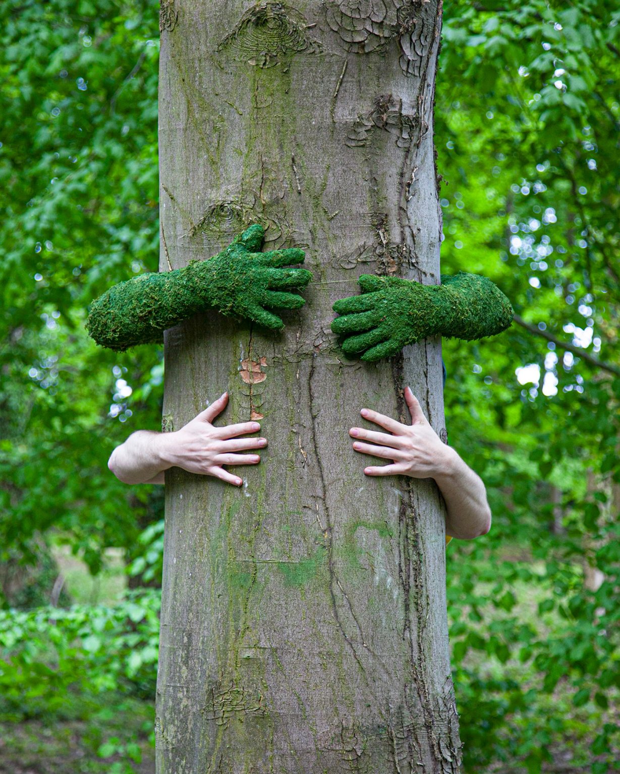 Plant-Based Artworks by Monsieur Plant | Daily design inspiration for ...