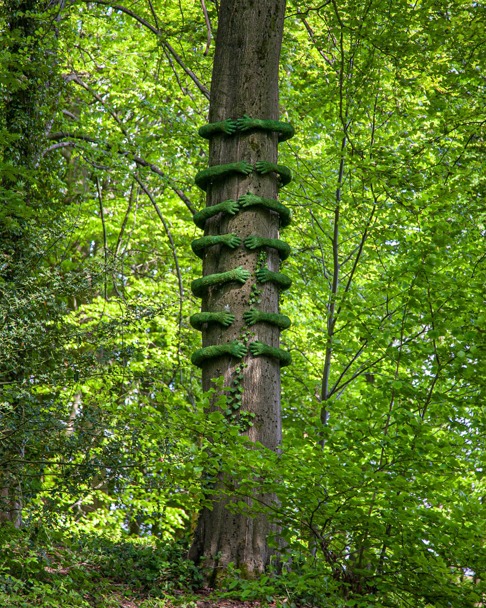 Plant-Based Artworks by Monsieur Plant | Daily design inspiration for ...