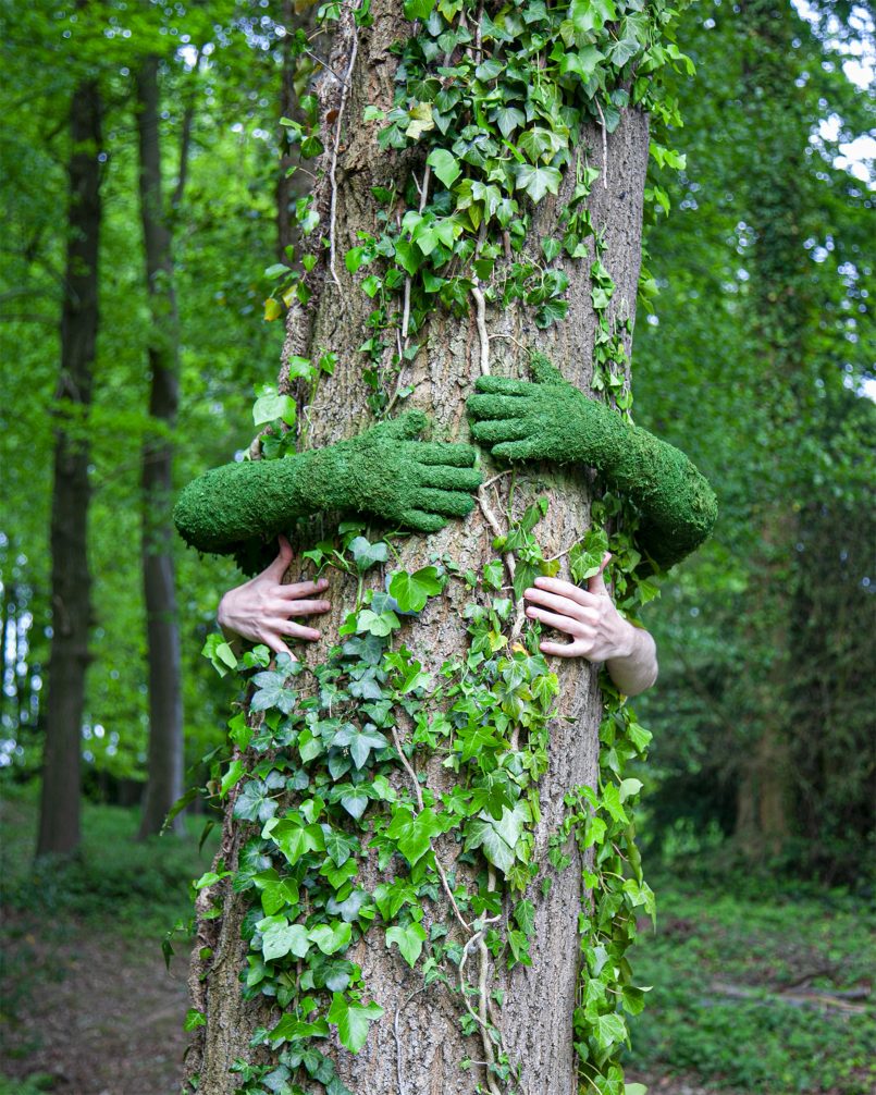 Plant-Based Artworks by Monsieur Plant | Daily design inspiration for ...