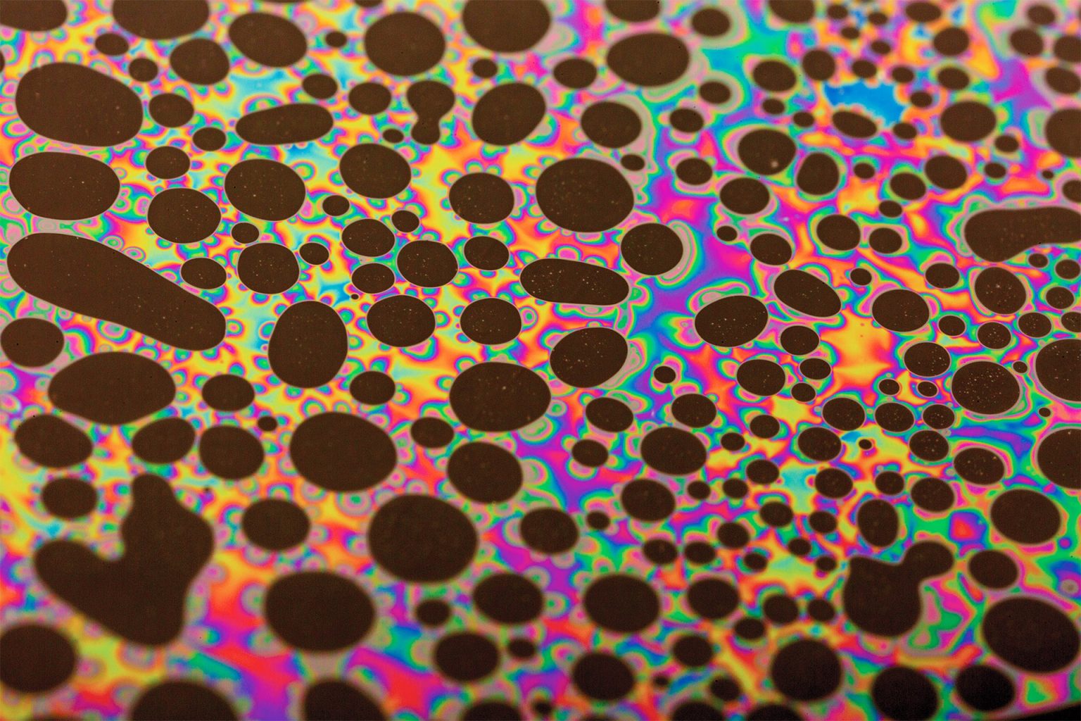 Helix: Experimental Photography by Akriti Sondhi | Daily design ...