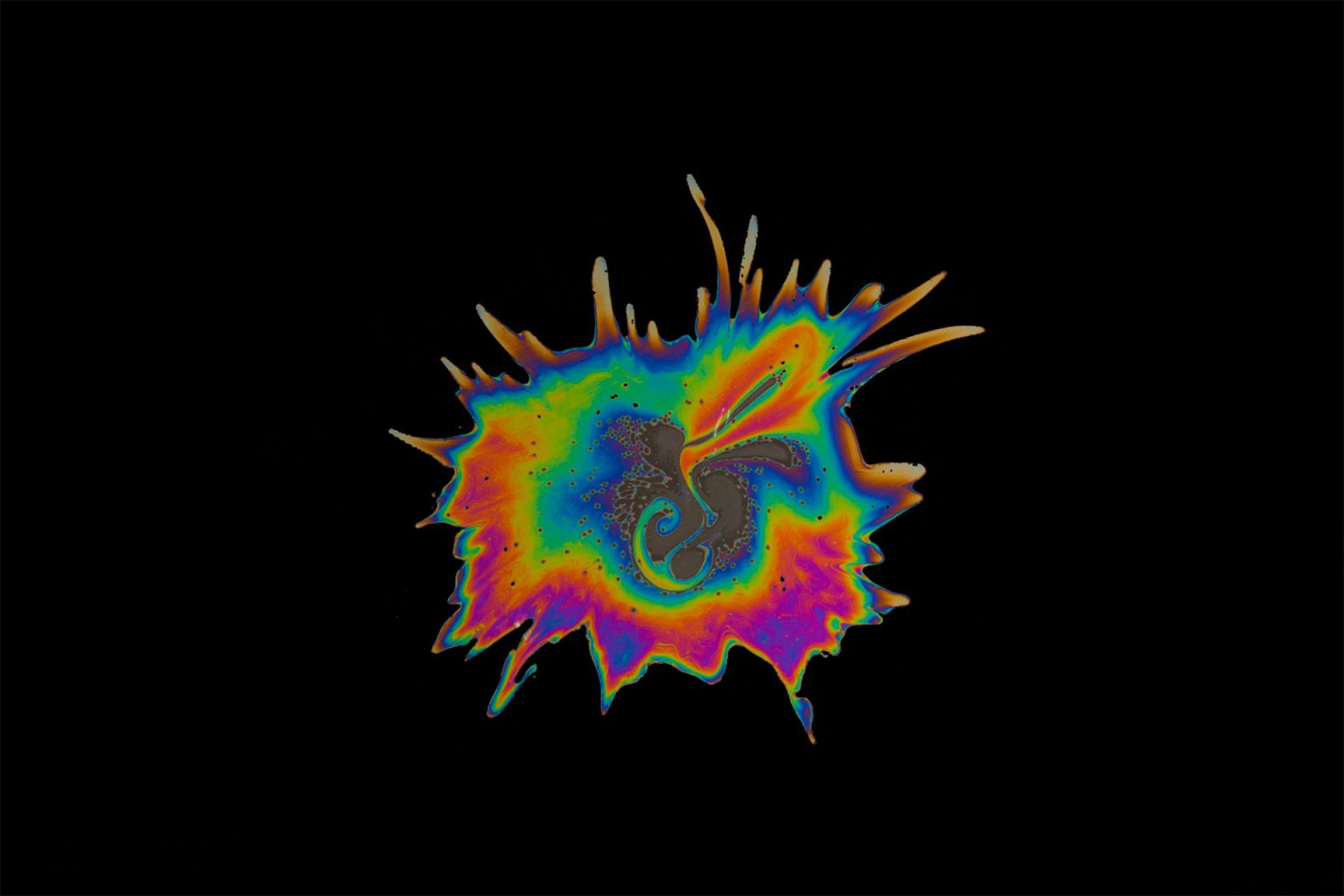 Helix: Experimental Photography by Akriti Sondhi | Daily design ...