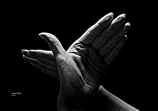 Top 15 Photography Winners from A'Design Awards | Daily design ...