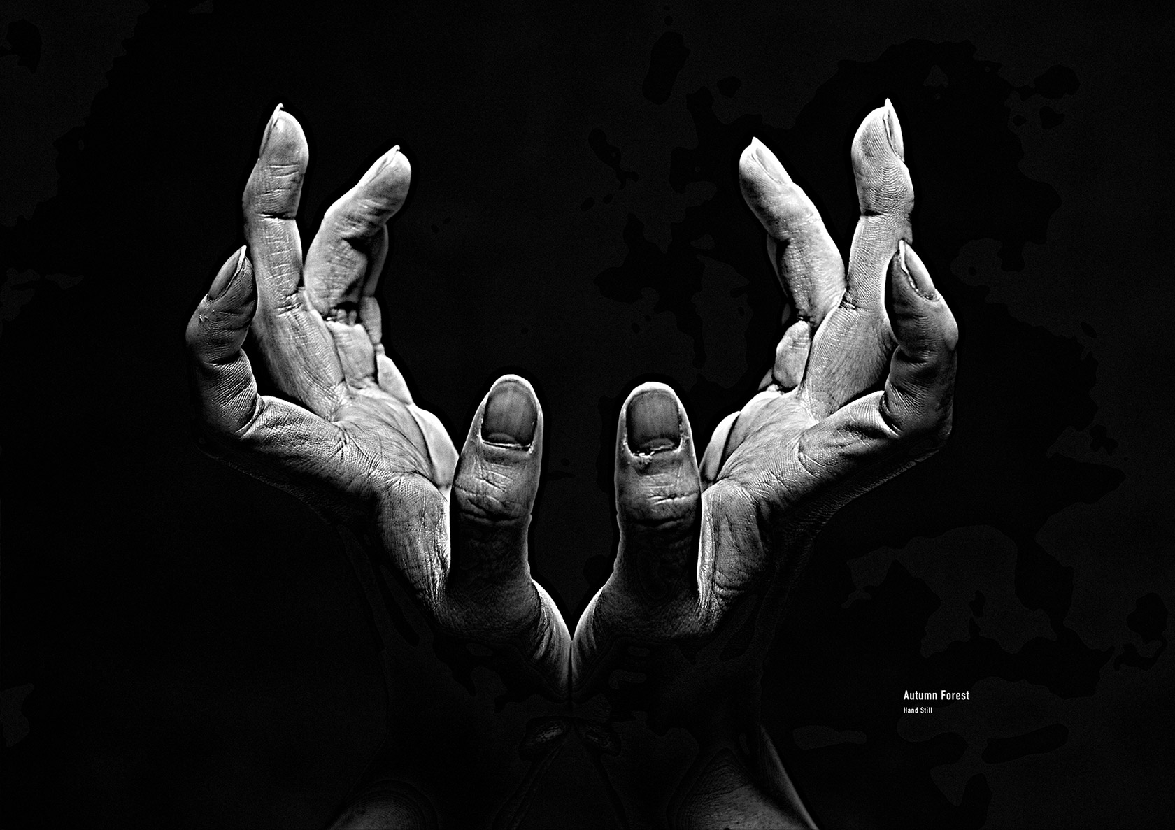 Top 15 Photography Winners from A'Design Awards | Daily design ...