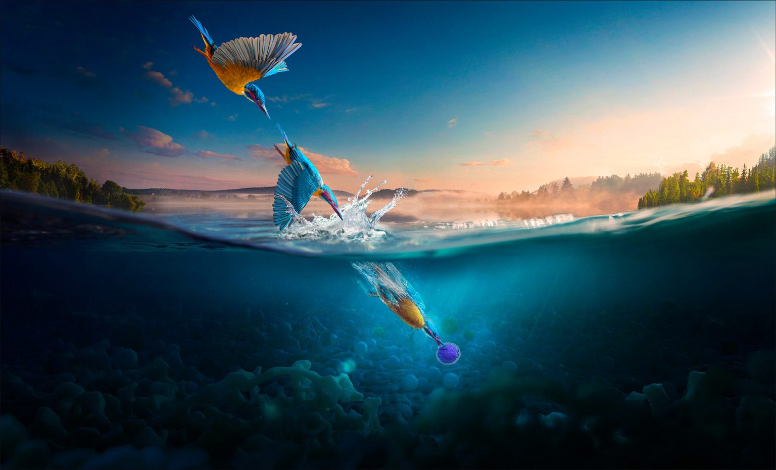 Fun Advertising Graphics by Platinum FMD | Daily design inspiration for ...