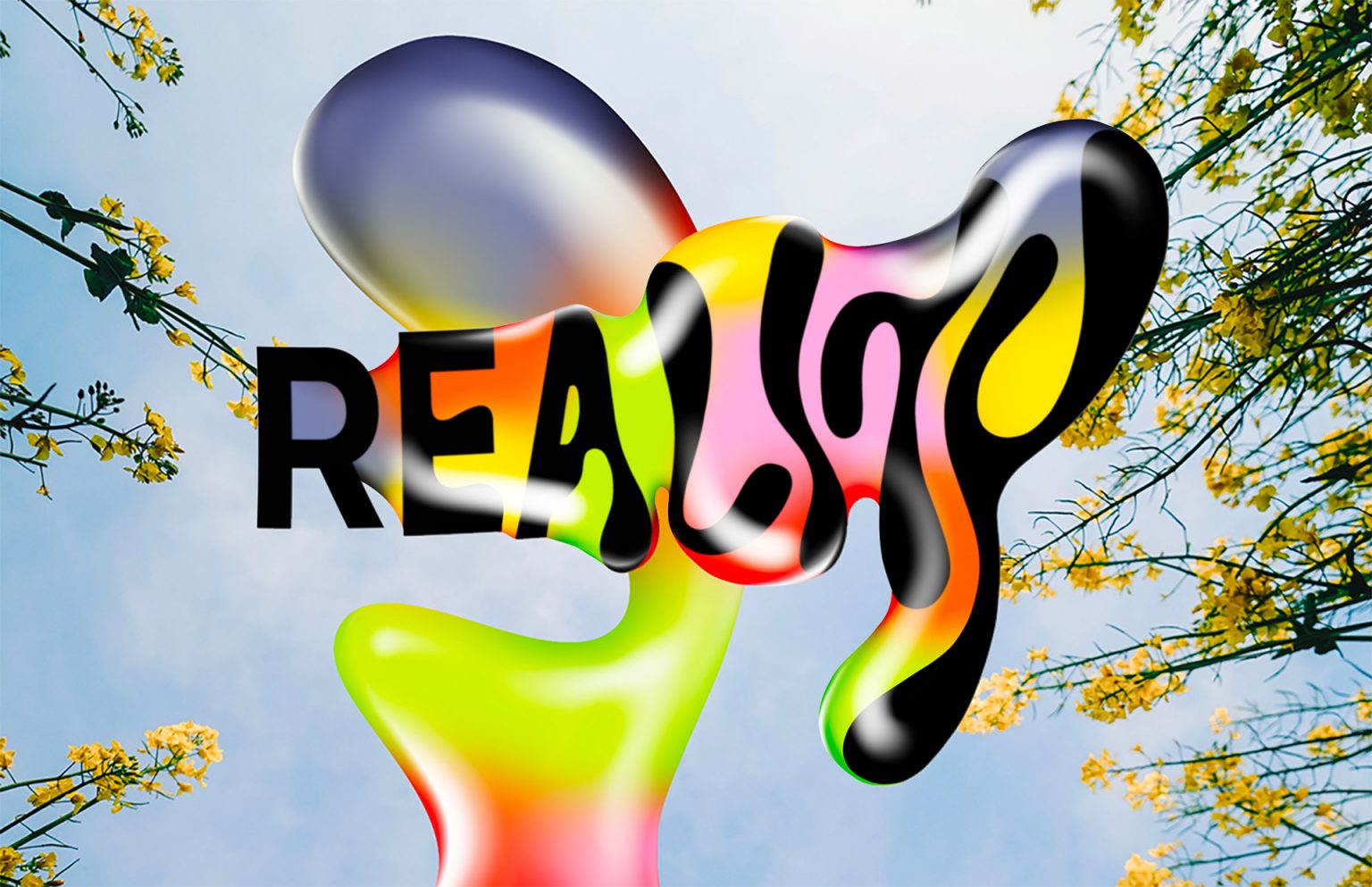 Bold Graphic Design & Branding by Laura Normand | Daily design ...