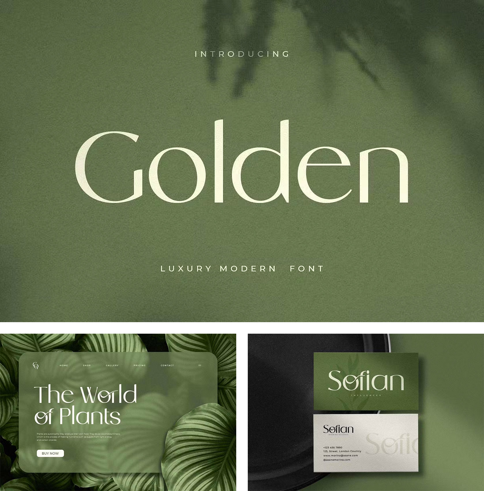 Best Free & Premium Fonts for Graphic Design in 2022 | Daily design ...